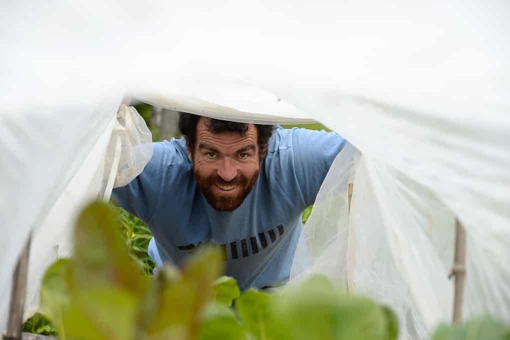 Banc d'essai : films de forçage - Terre Vivante