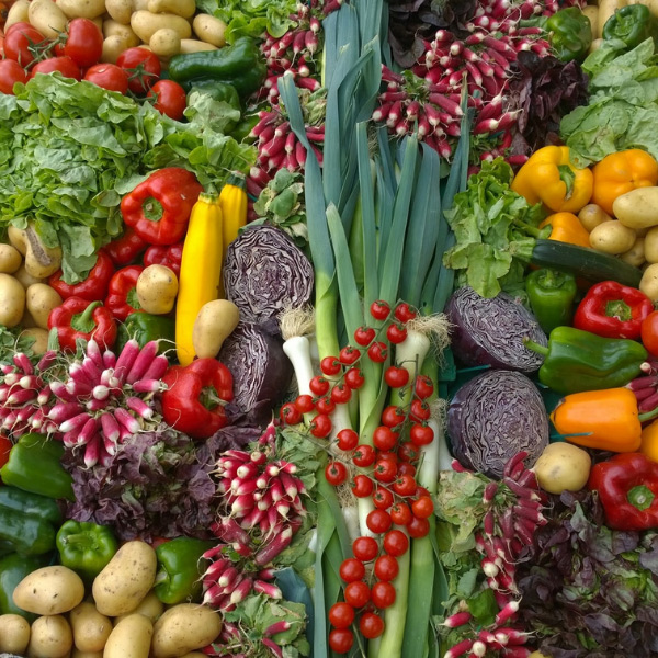 Plus de végétal dans l'assiette : recettes et conseils | Terre vivante
