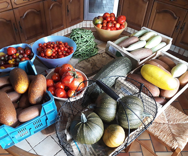 Que rapporte mon potager ? Les lecteurs partagent leur expérience | 4 ...