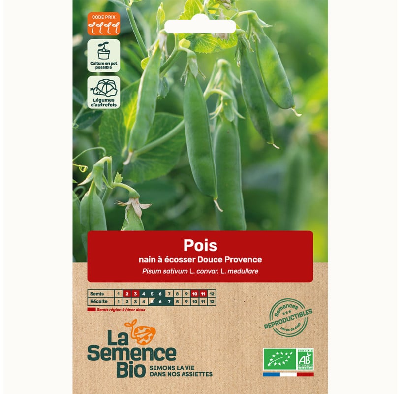 Graines Pois nain à écosser Douce Provence Bio - La semence bio - Terre ...